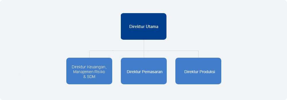 Struktur Organisasi Perusahaan